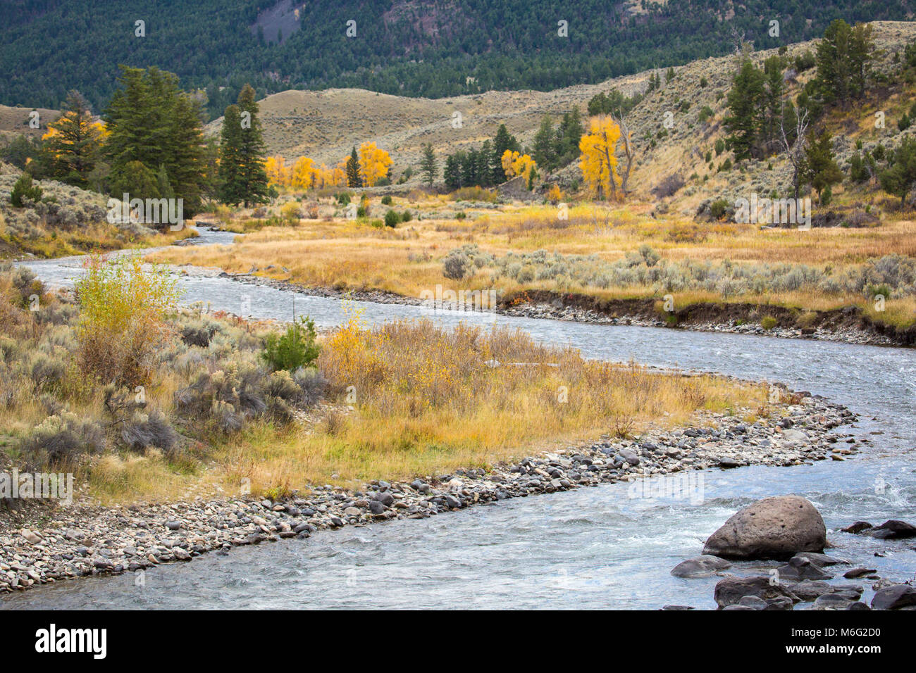 Fall on the Gardner River Stock Photo - Alamy