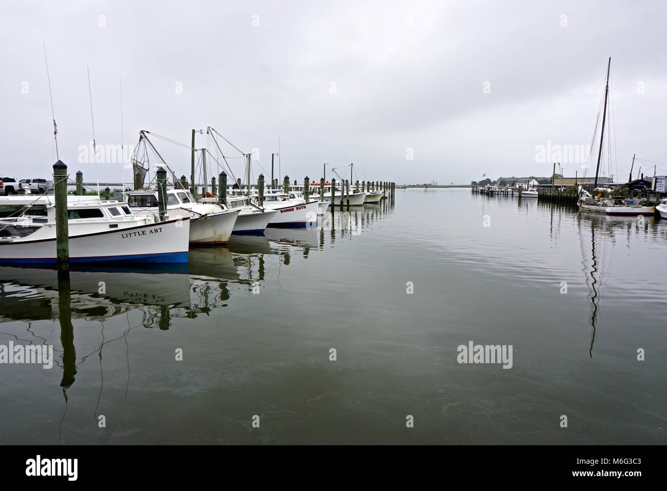Deal island marina hi-res stock photography and images - Alamy