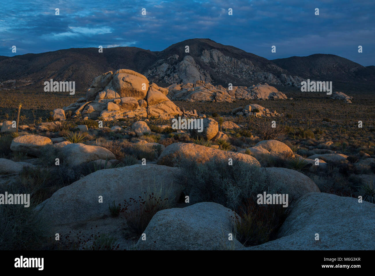 King dome hi-res stock photography and images - Alamy