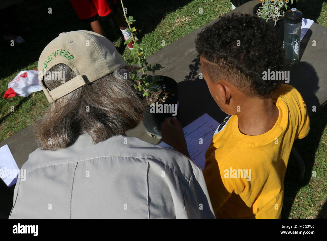 LA District Volunteer Stock Photo - Alamy