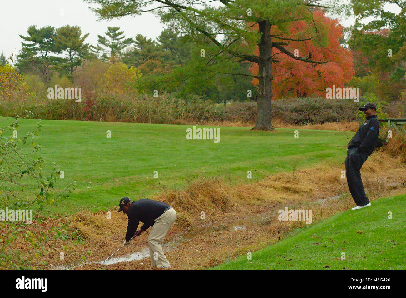 Golfer retrieving golf ball while other golfer laughs Stock Photo - Alamy