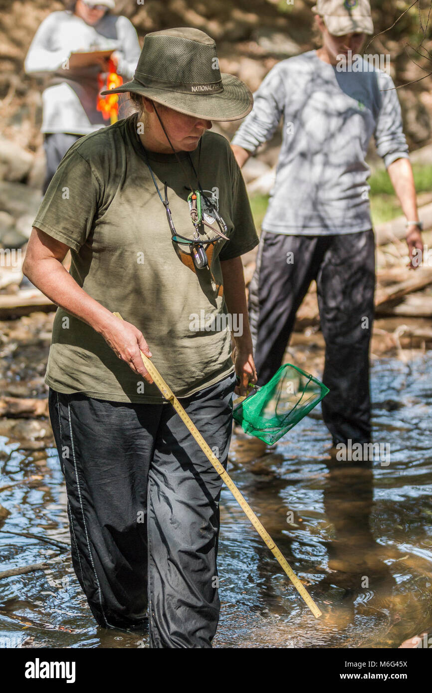 Long Term Stream Monitoring Stock Photo - Alamy