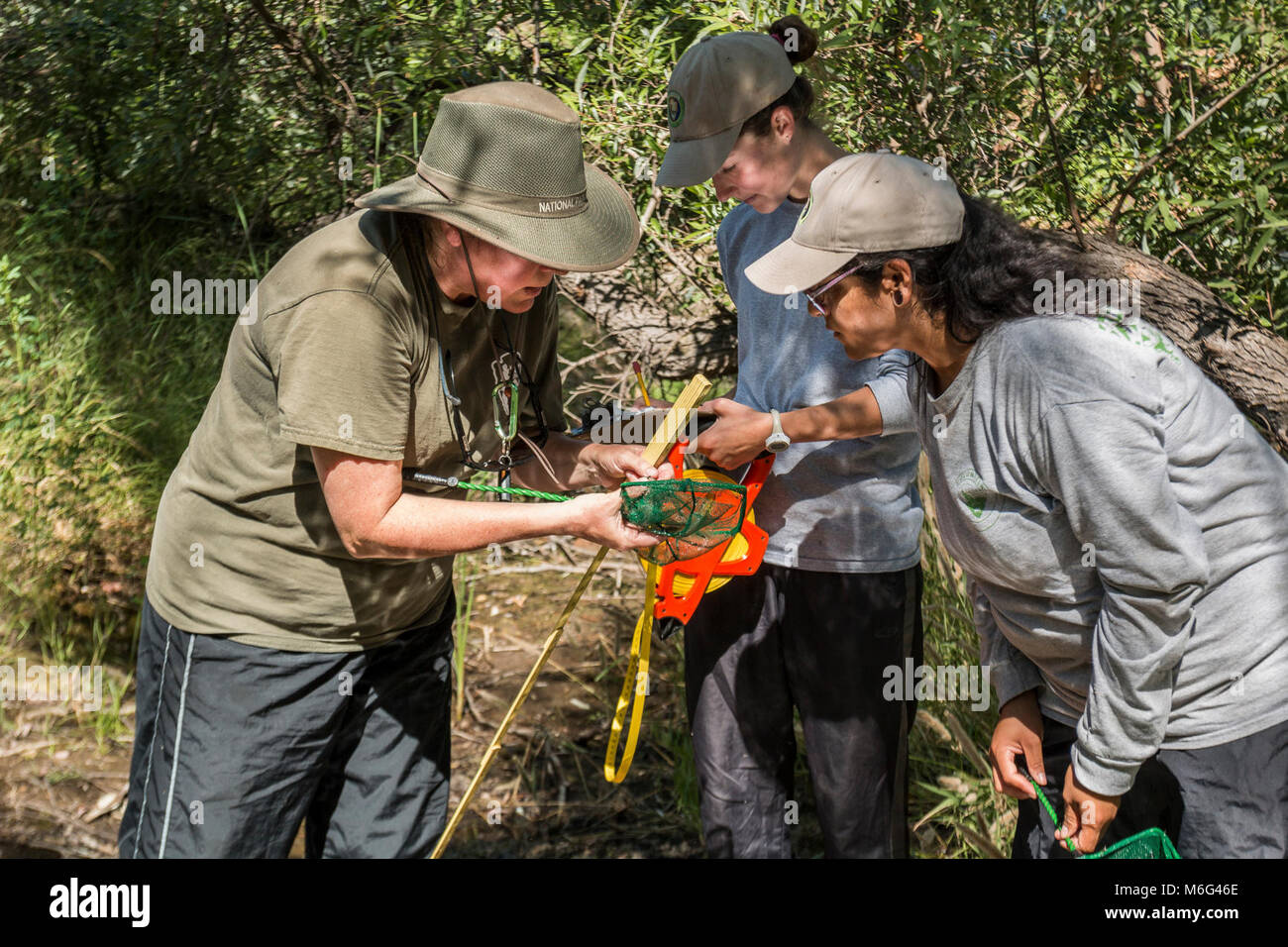 Long Term Stream Monitoring Stock Photo - Alamy