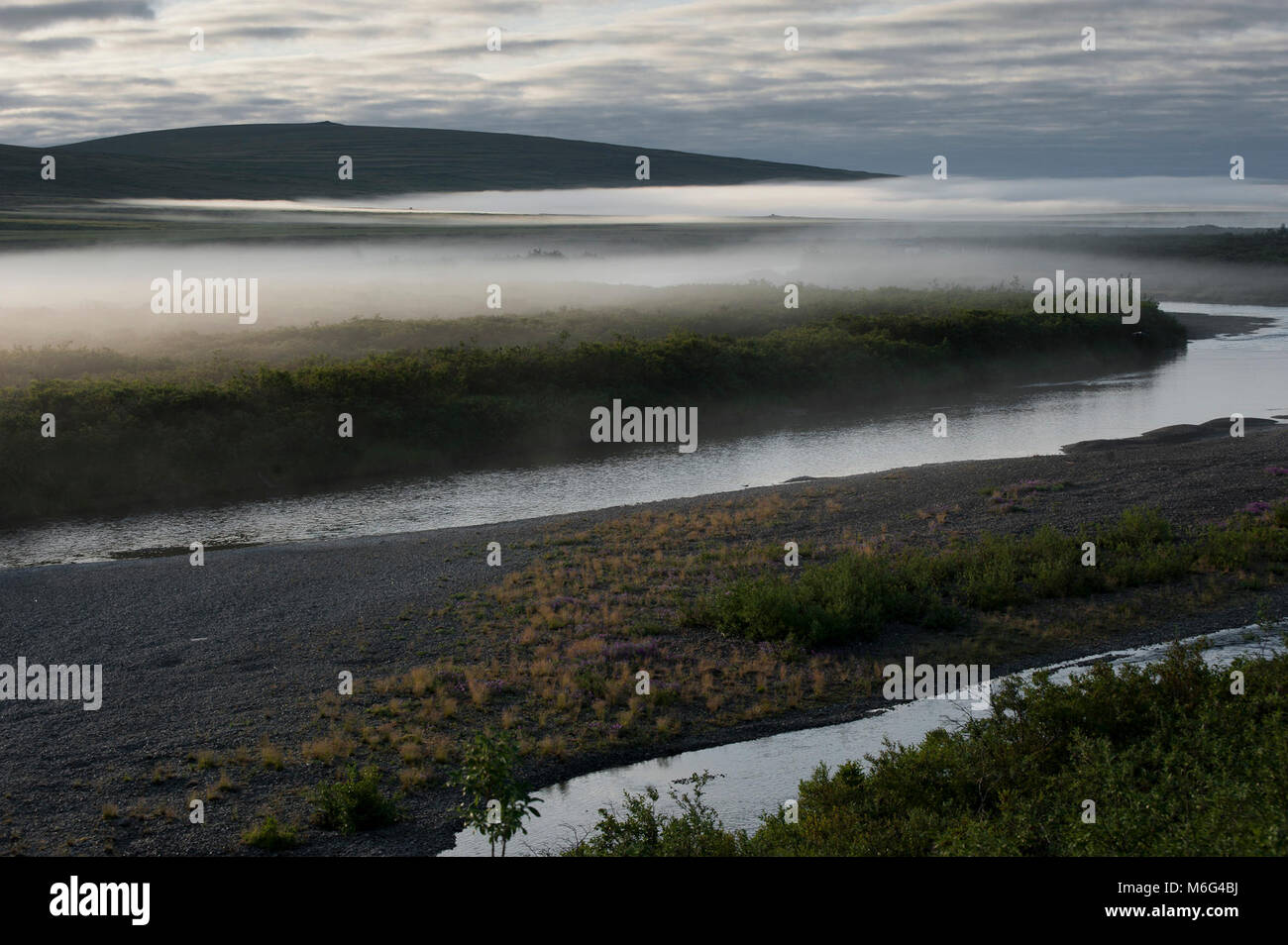 Morning fog along the road to Quartz Creek, north of Stock Photo - Alamy