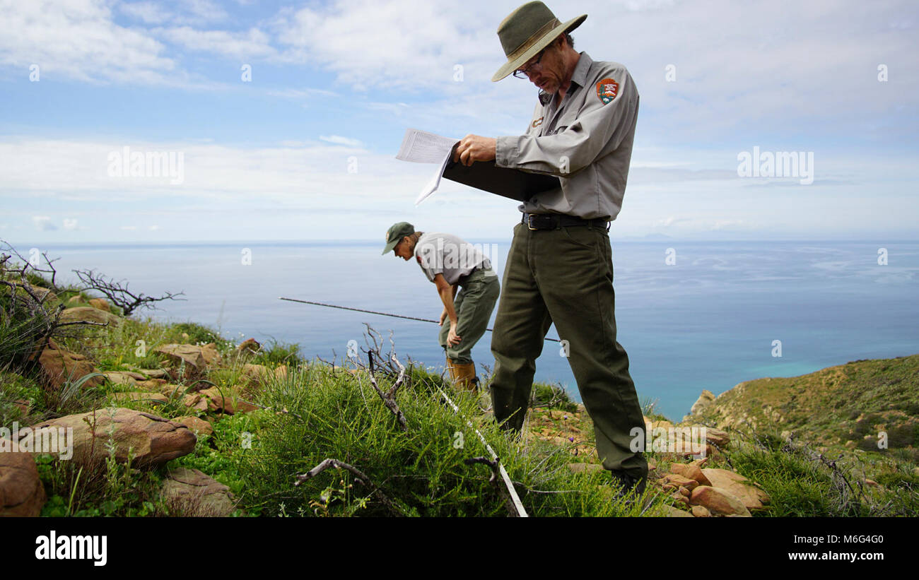 Native Plant Community Monitoring. Researchers conduct a census of ...