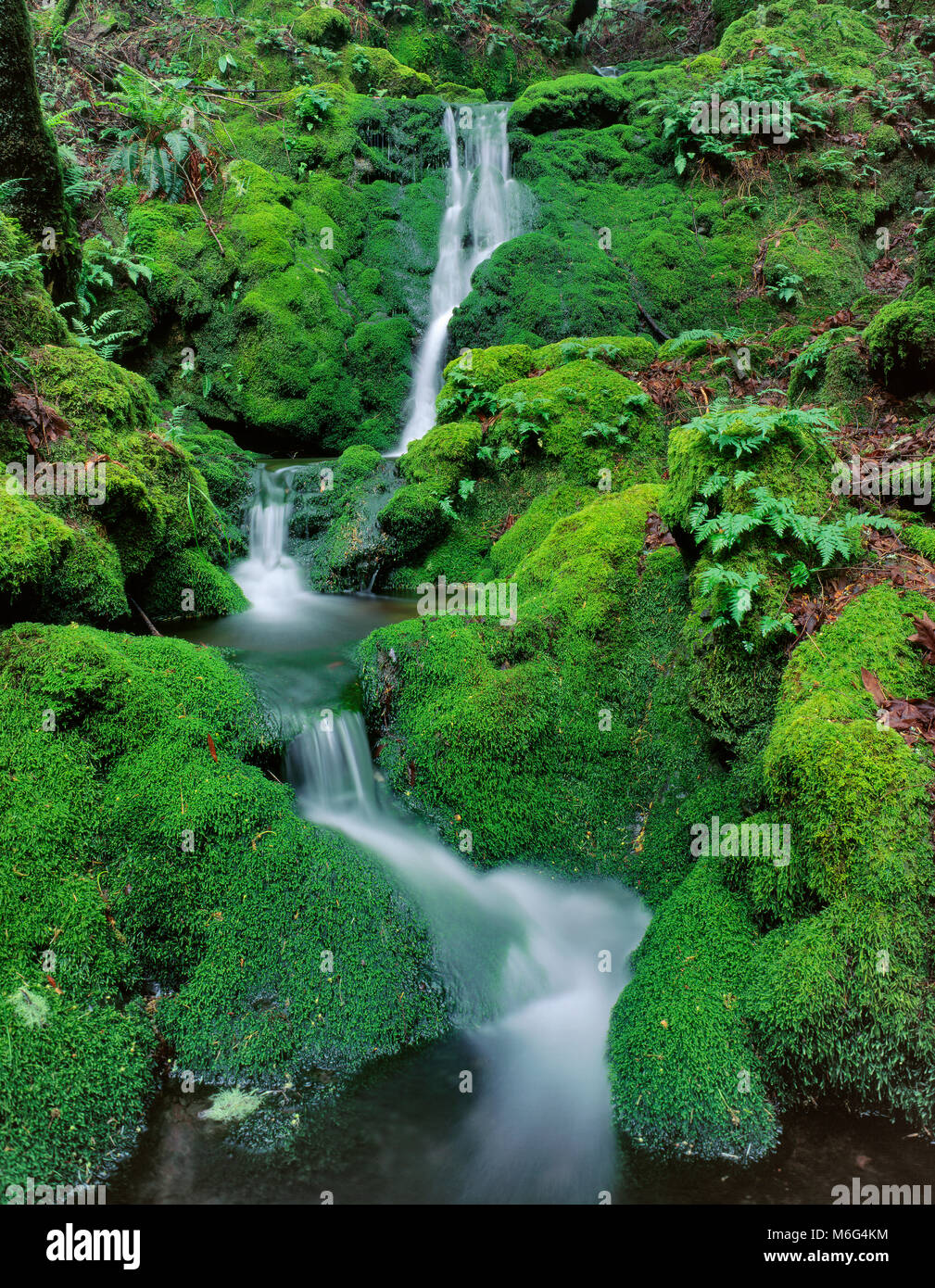 Marin waterfalls hi-res stock photography and images - Alamy