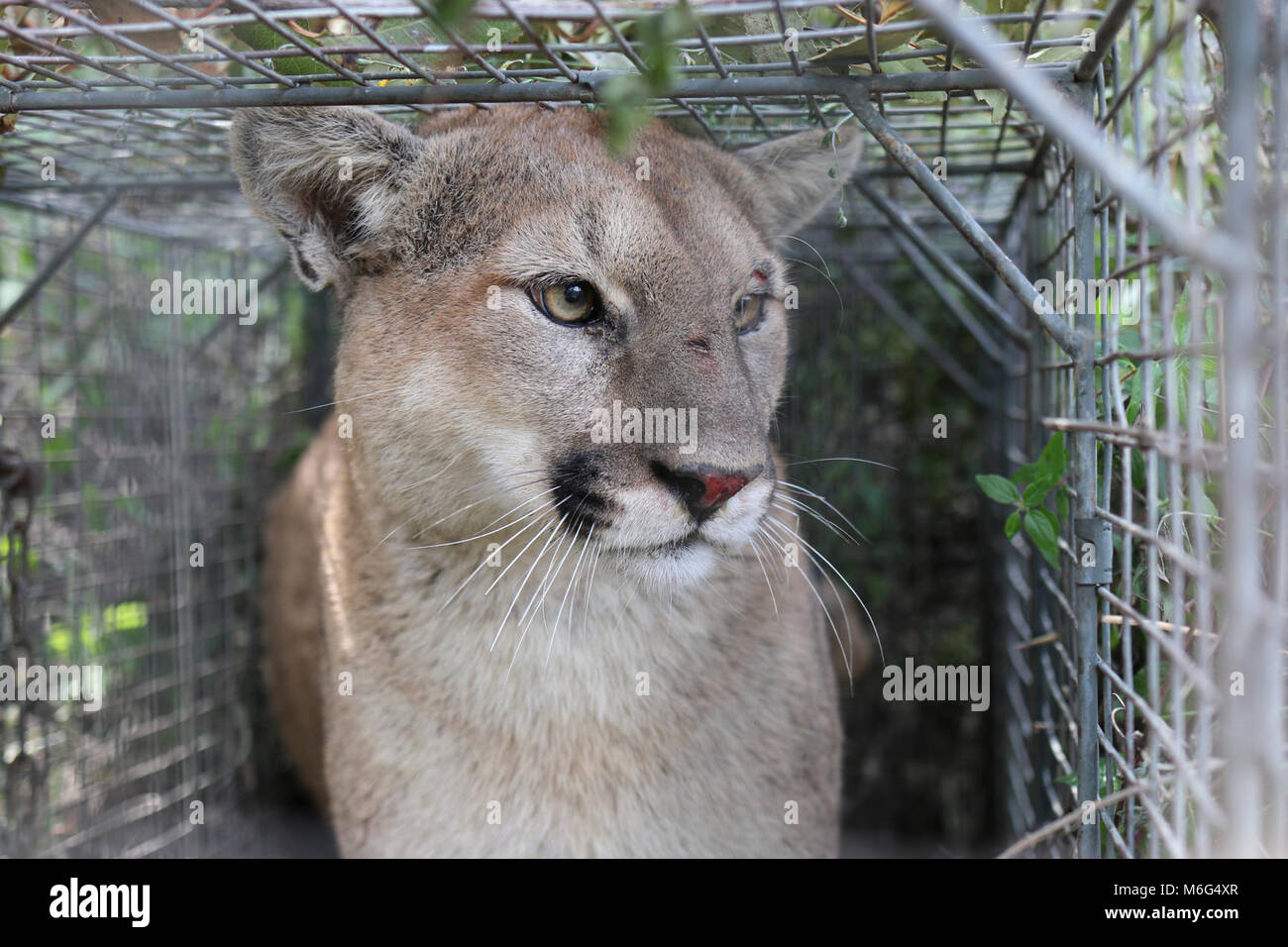 U 56 hi-res stock photography and images - Alamy