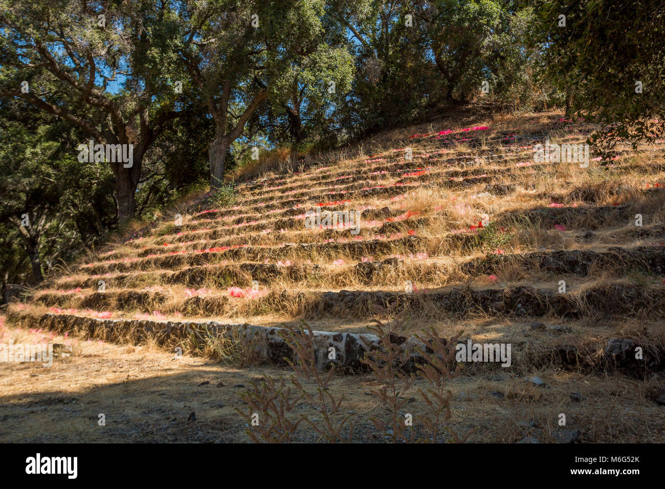 Peter strauss ranch hi-res stock photography and images - Alamy