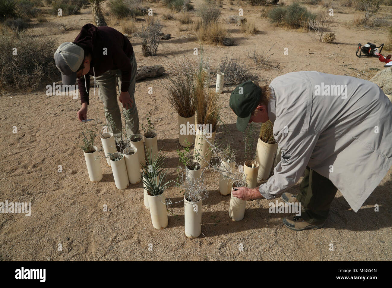 Preparing for planting Stock Photo - Alamy