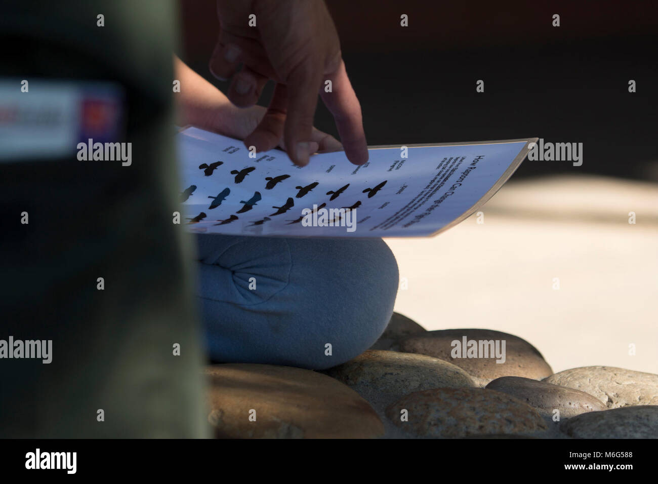 Raptor Walk with Ranger Anthony Stock Photo - Alamy