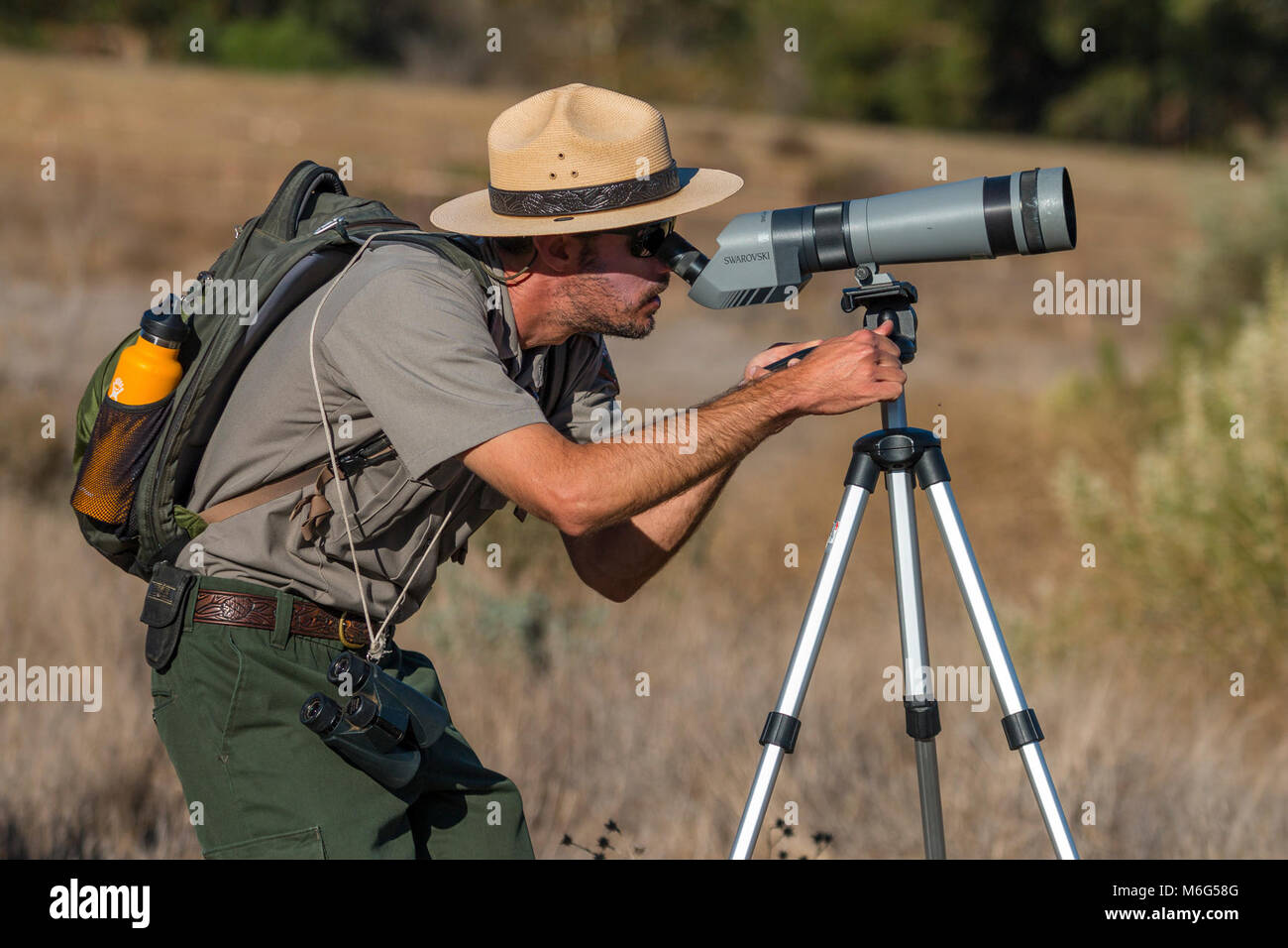 Raptor Walk with Ranger Anthony Stock Photo - Alamy