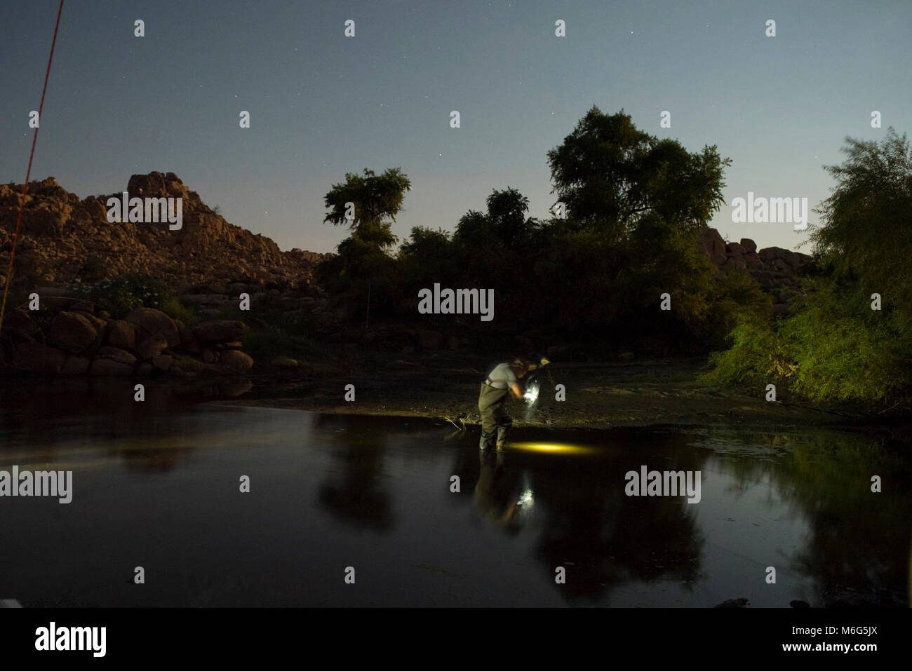 Mist net bat hi-res stock photography and images - Alamy