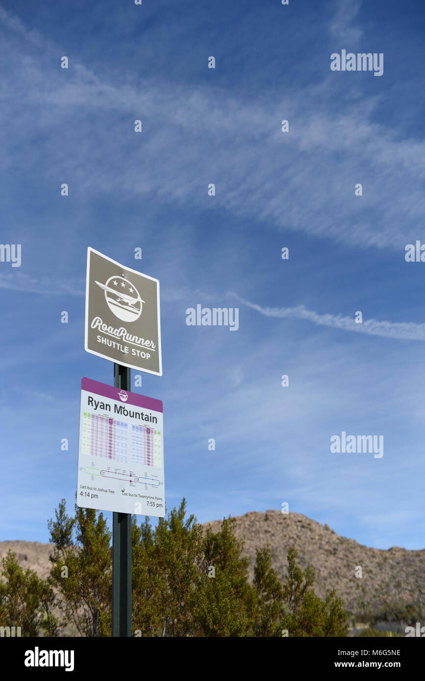 Joshua tree california roadrunner hi-res stock photography and images ...