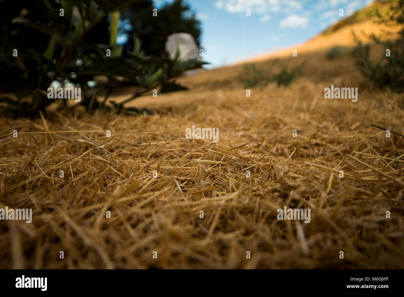Cheeseboro hi-res stock photography and images - Alamy