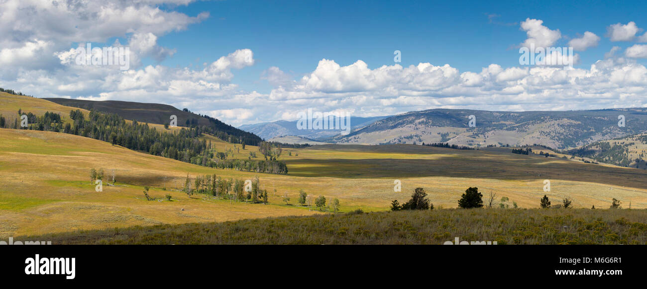 Summer, Lamar Valley Stock Photo - Alamy