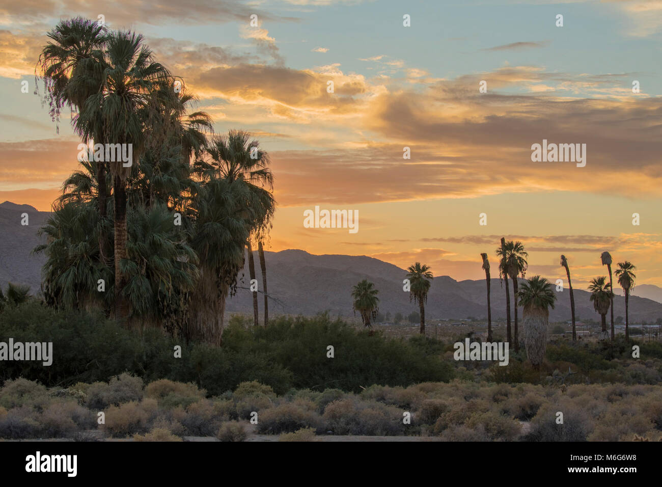 Sunset at Oasis of Mara Stock Photo - Alamy