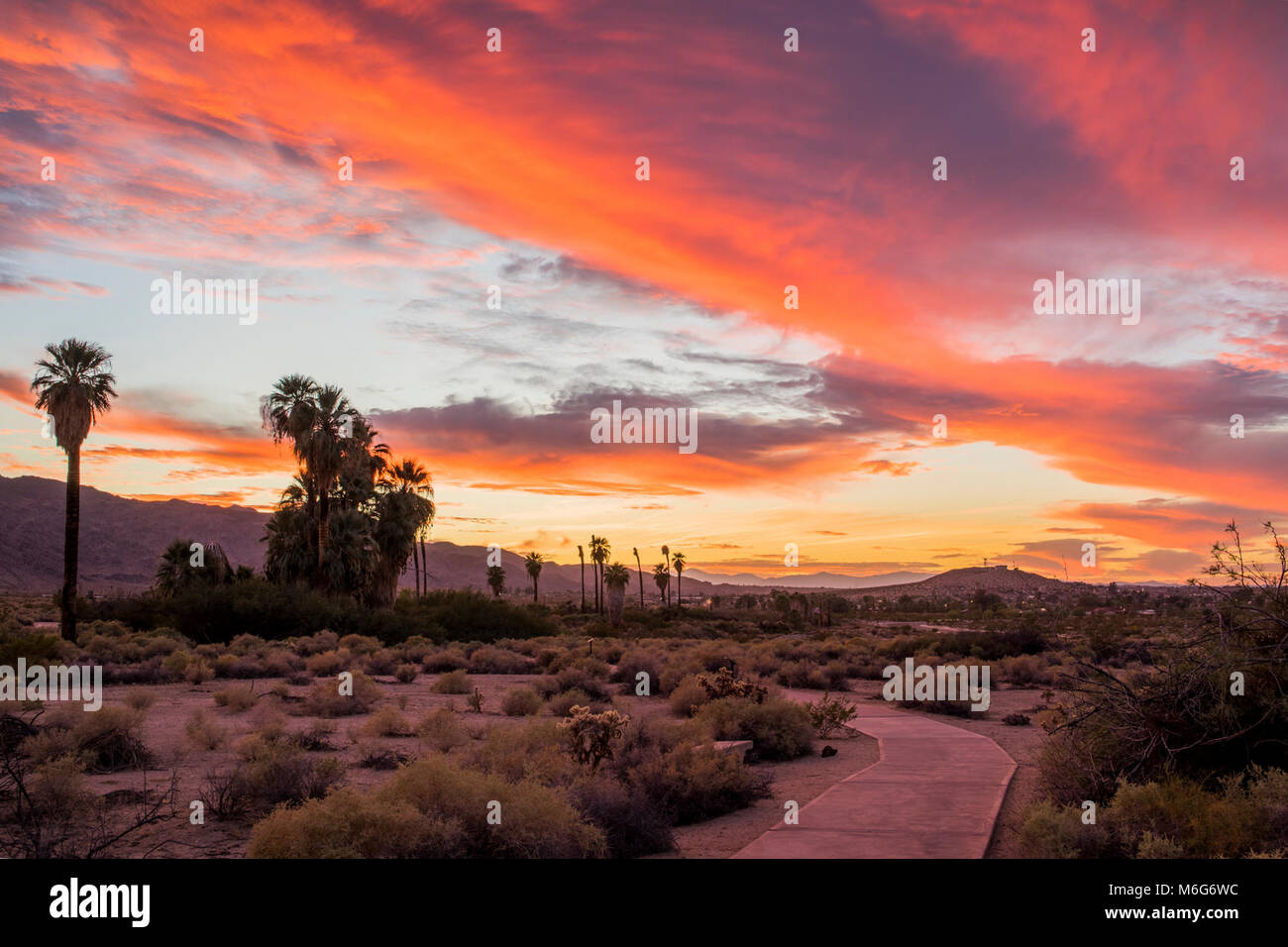 Sunset at Oasis of Mara Stock Photo - Alamy