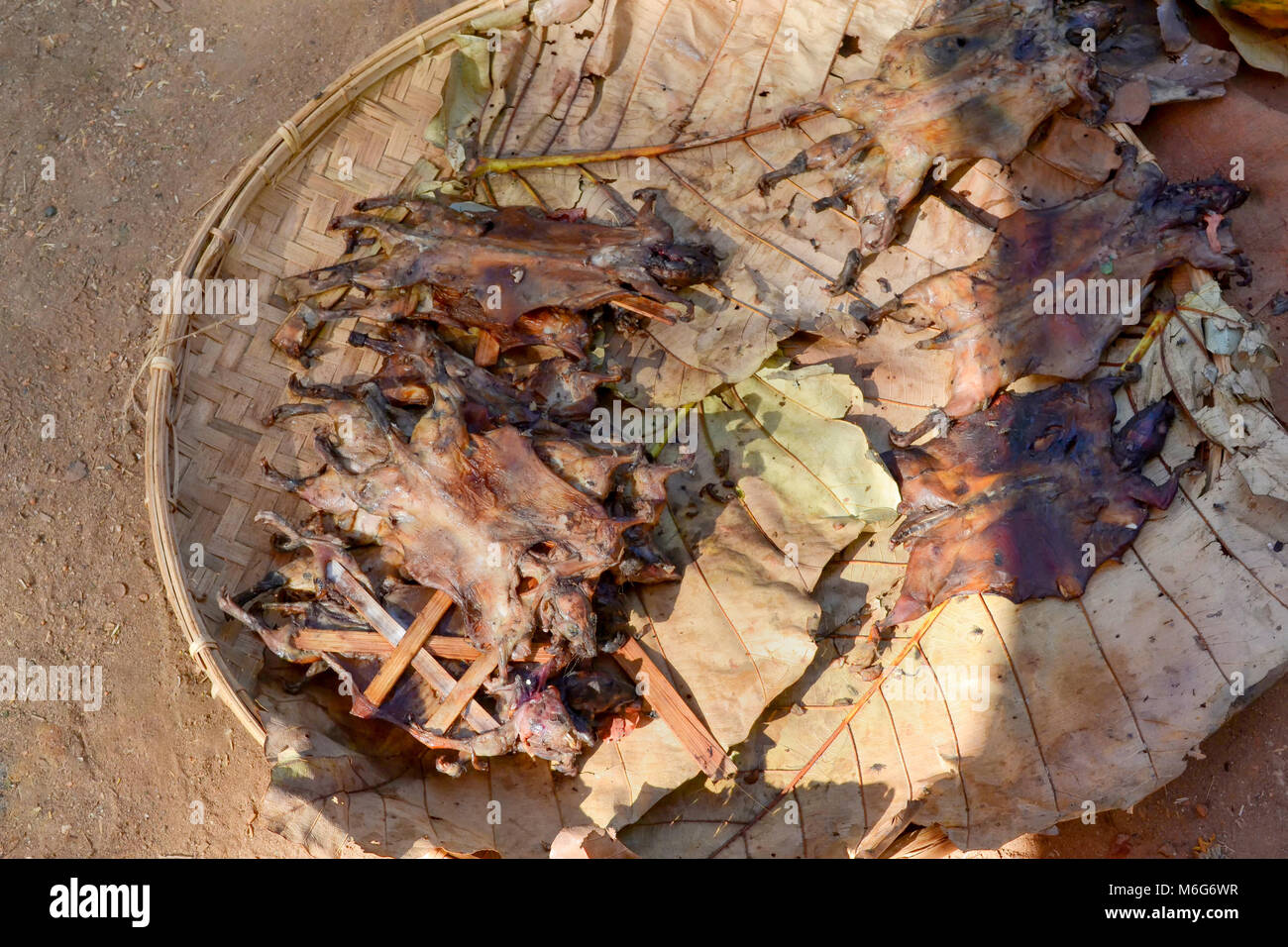 Dried rats nicely spread out on wood in a basket for sale as a ...