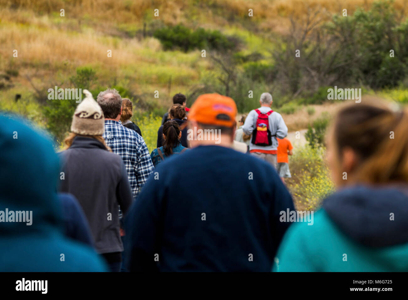 Tarantula Hike 2017. Ranger Led hike by Ranger Razsa to find tarantulas ...