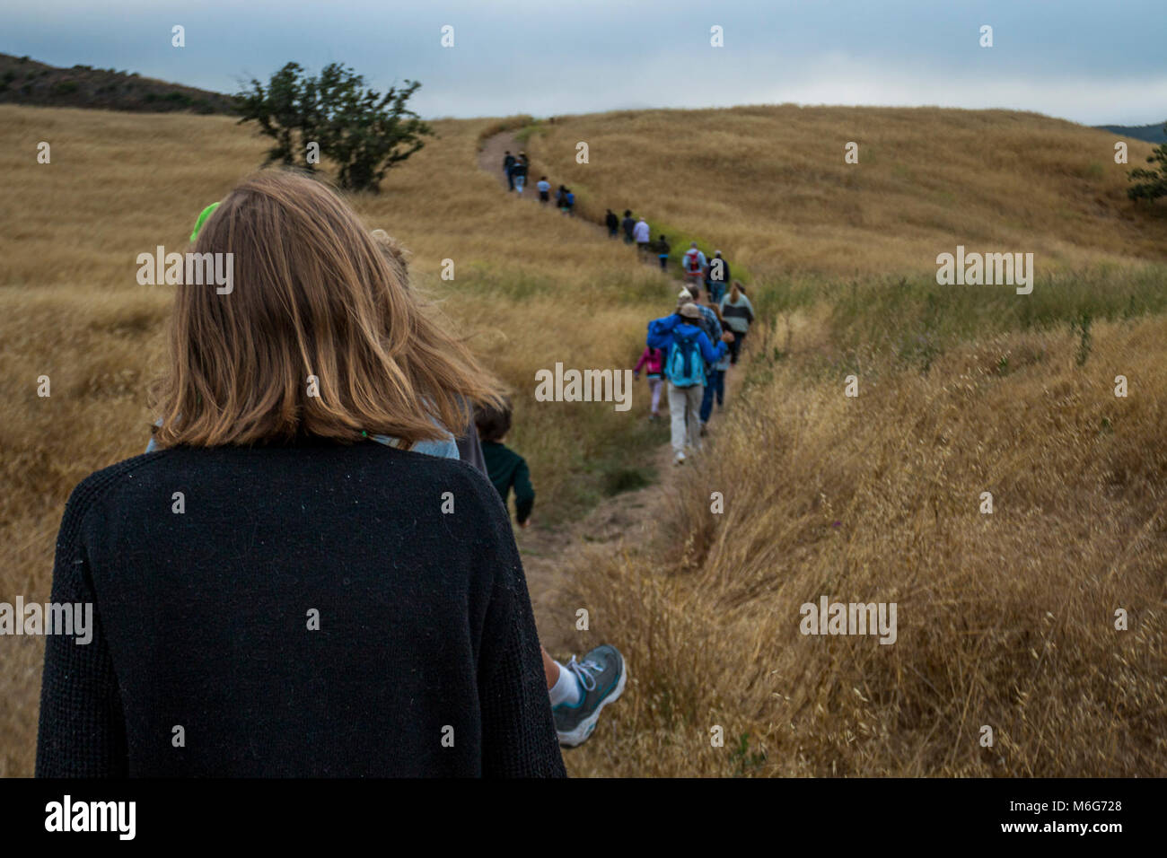 Tarantula Hike 2017. Ranger Led hike by Ranger Razsa to find tarantulas ...