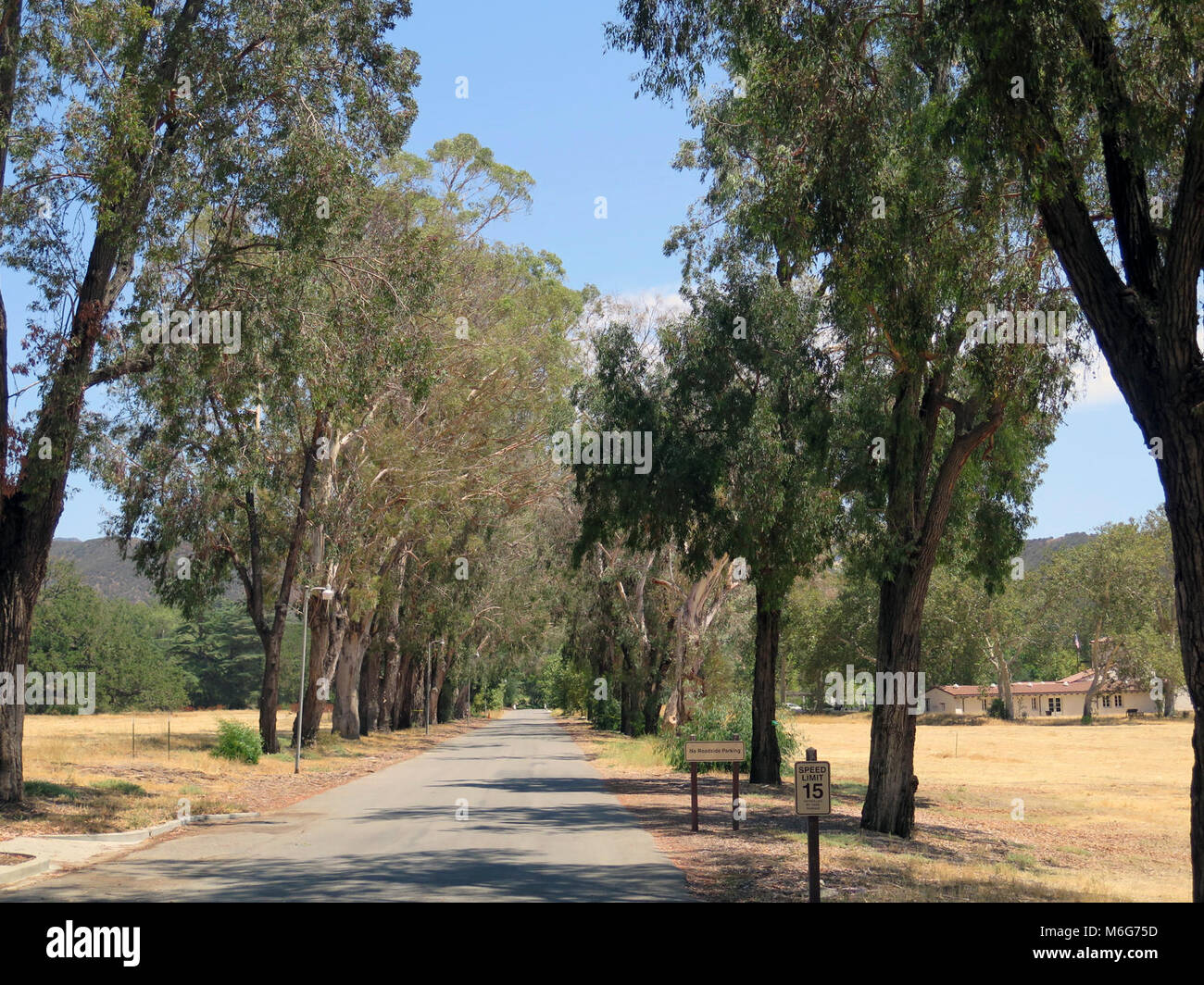The driveway. Drive on the beautiful driveway, under eucalyptus trees ...