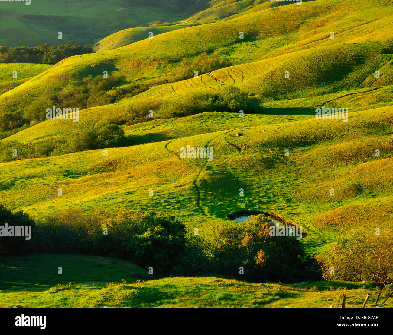 Hillside, El Sur Ranch, Big Sur, Los Padres National Forest, Monterey ...