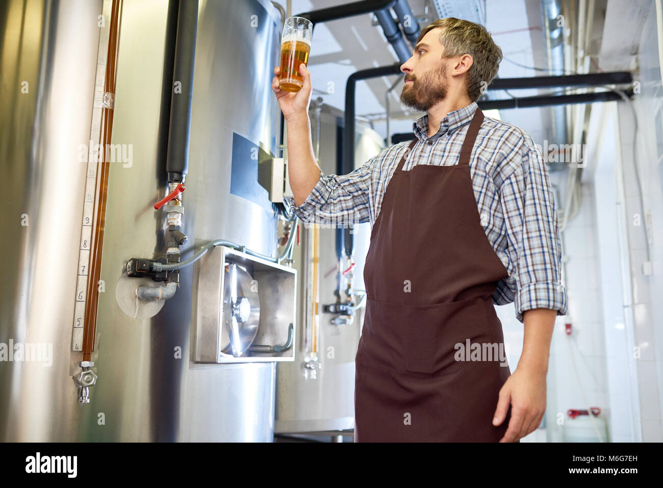 Quality control beer plant hi-res stock photography and images - Alamy