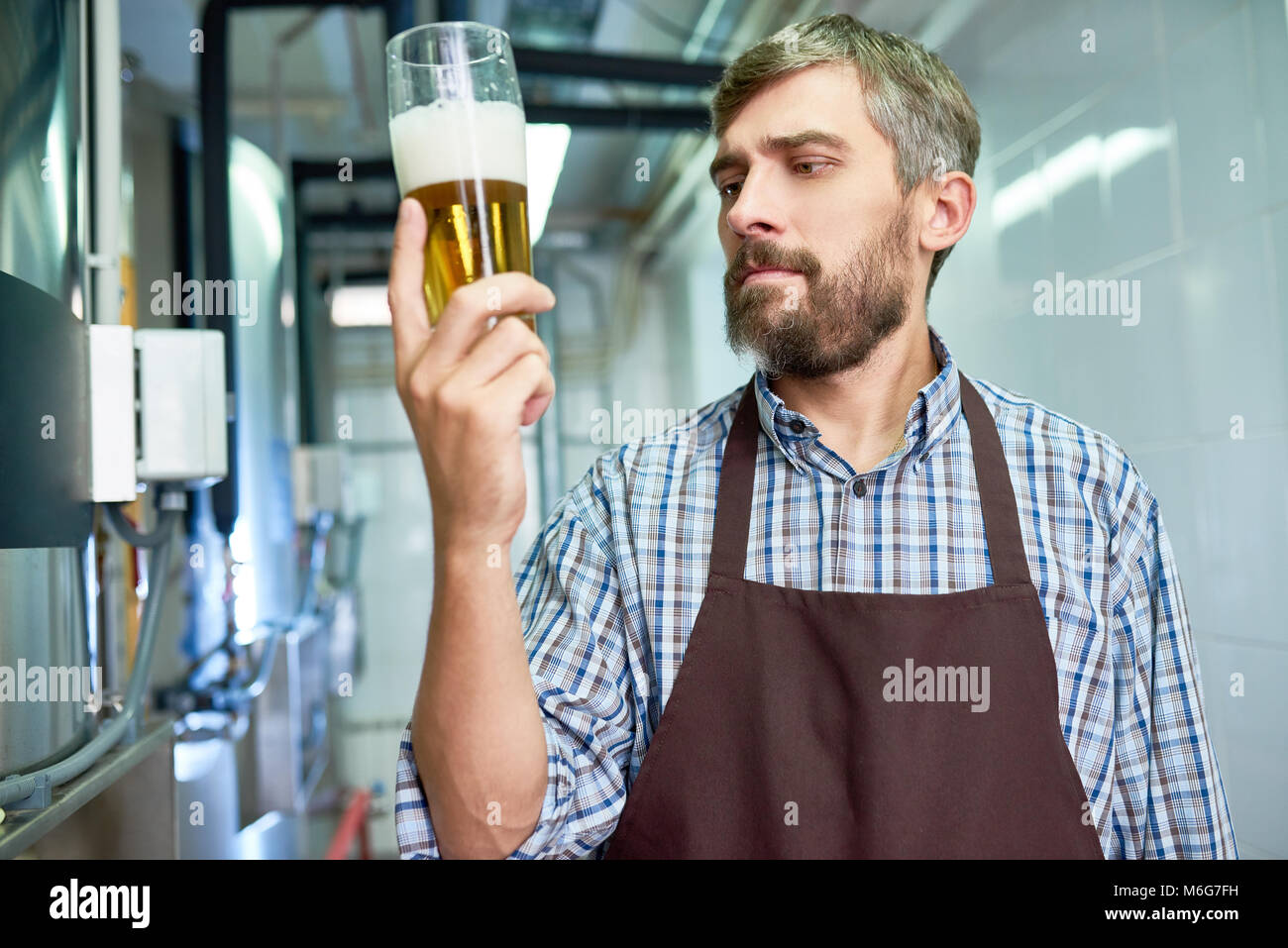 Quality control beer plant hi-res stock photography and images - Alamy