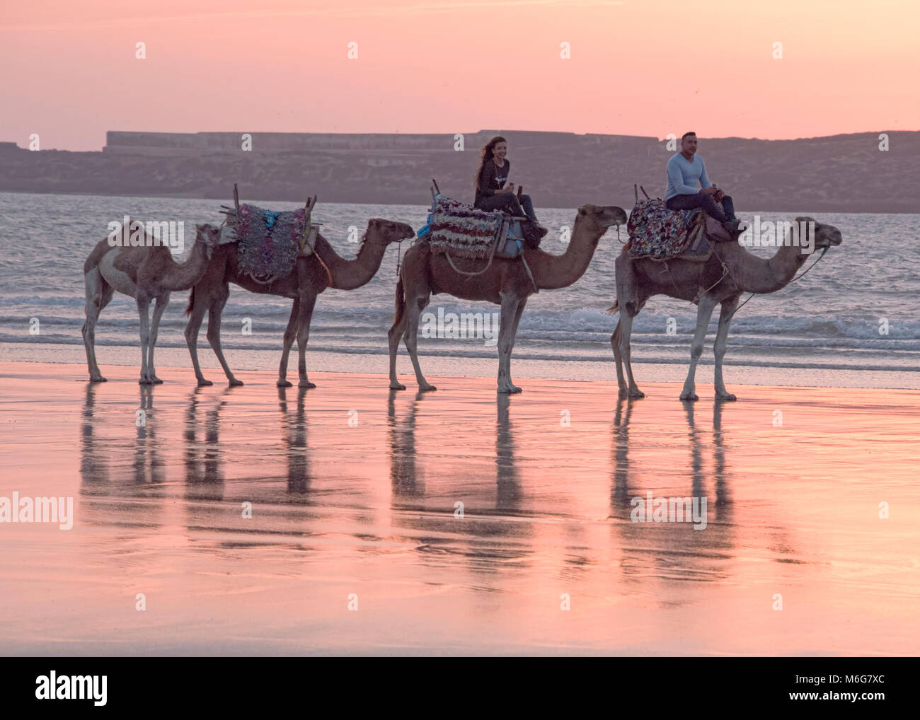 Camel train silhouette sunset desert hi-res stock photography and ...