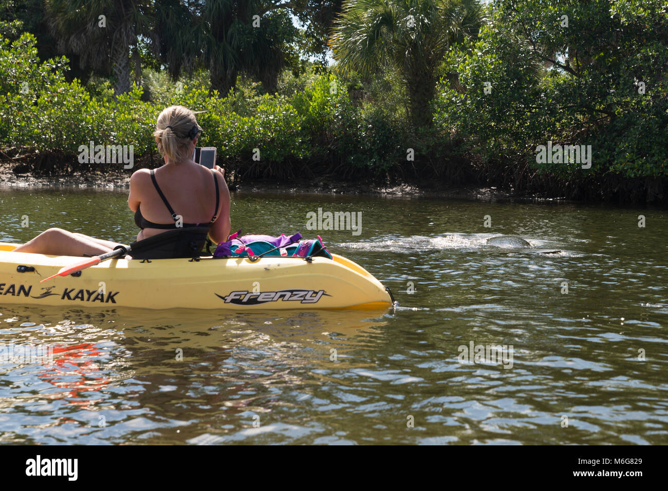 Fantastiskt hi-res stock photography and images - Alamy