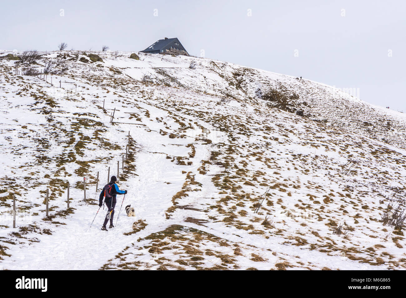 Hiker with his dog climbing on a snowy hiking trail to the Hohneck ...