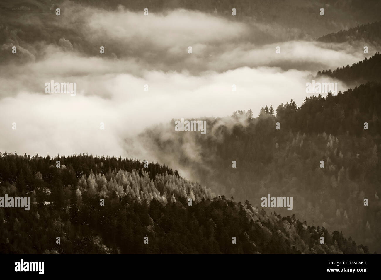 Monochromatic scenery hi-res stock photography and images - Alamy