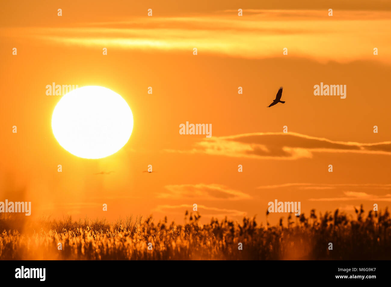 Karrhok hi-res stock photography and images - Alamy