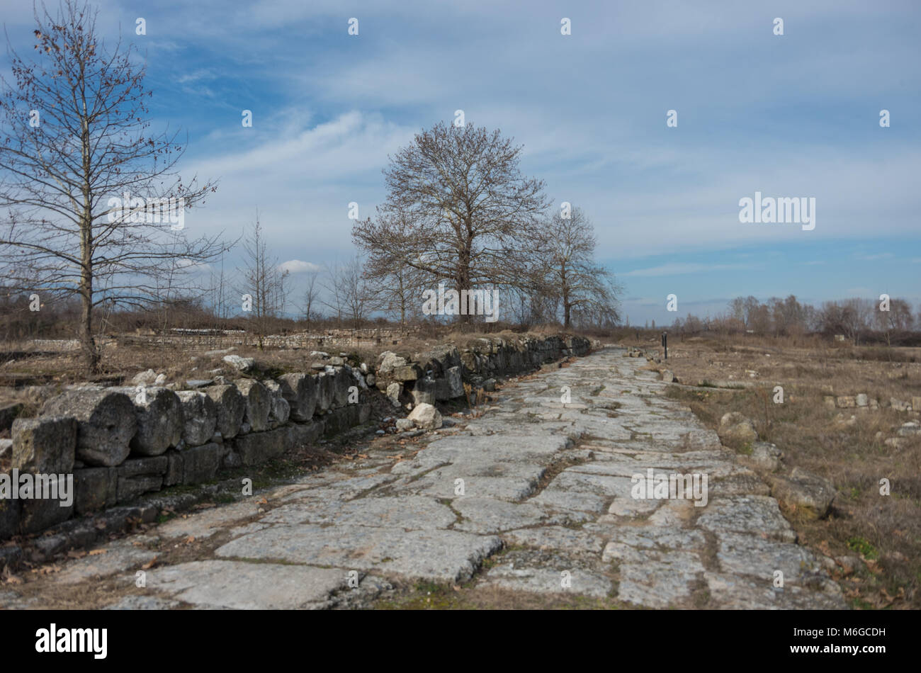 Ruins and old road at the Archaeological Park of Dion. Pieria ...