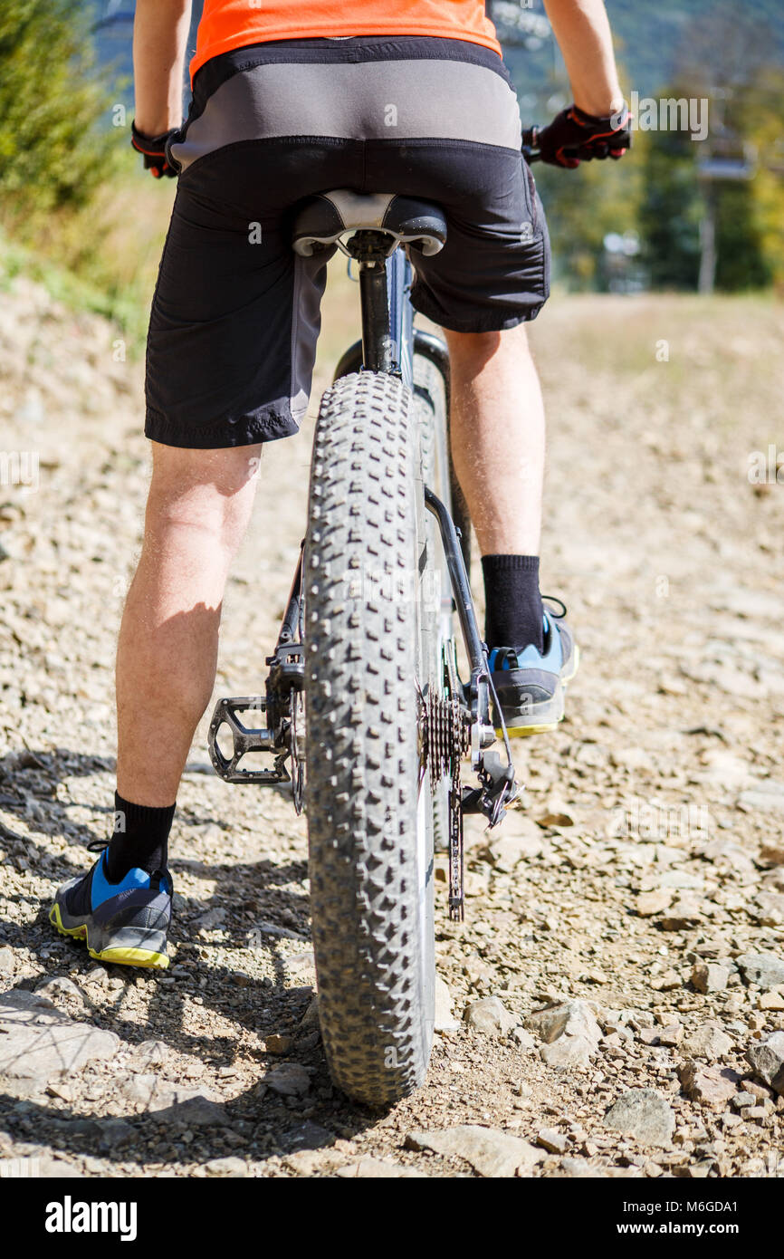 Photo from back of man bicycle on summer Stock Photo - Alamy