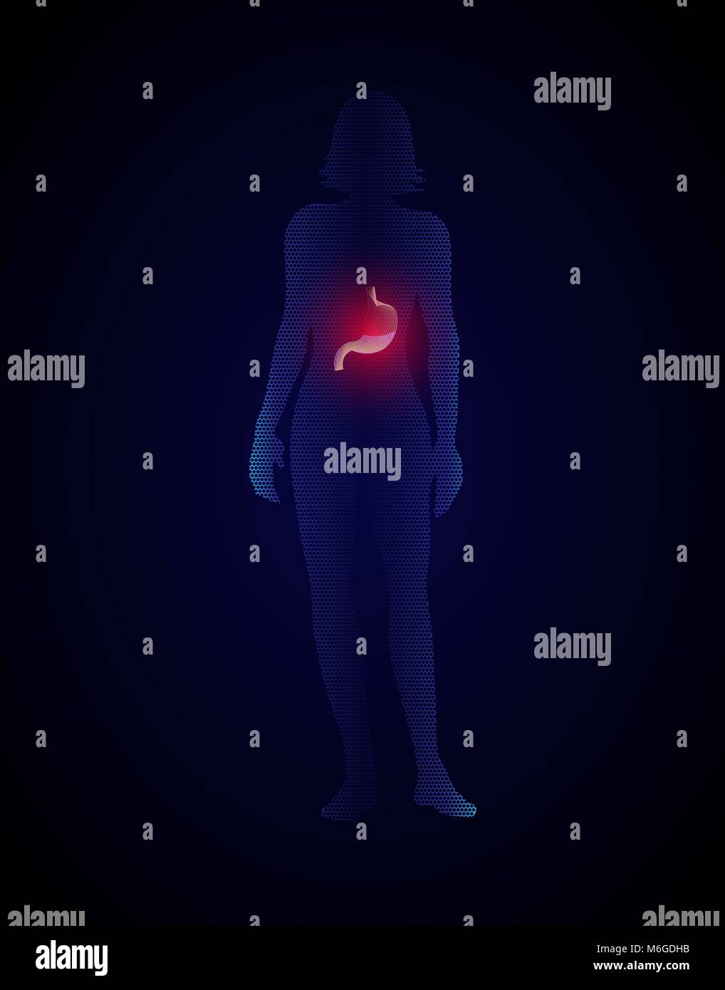 silhouette of woman with stomach, stomach cancer, stomach ulcer ...
