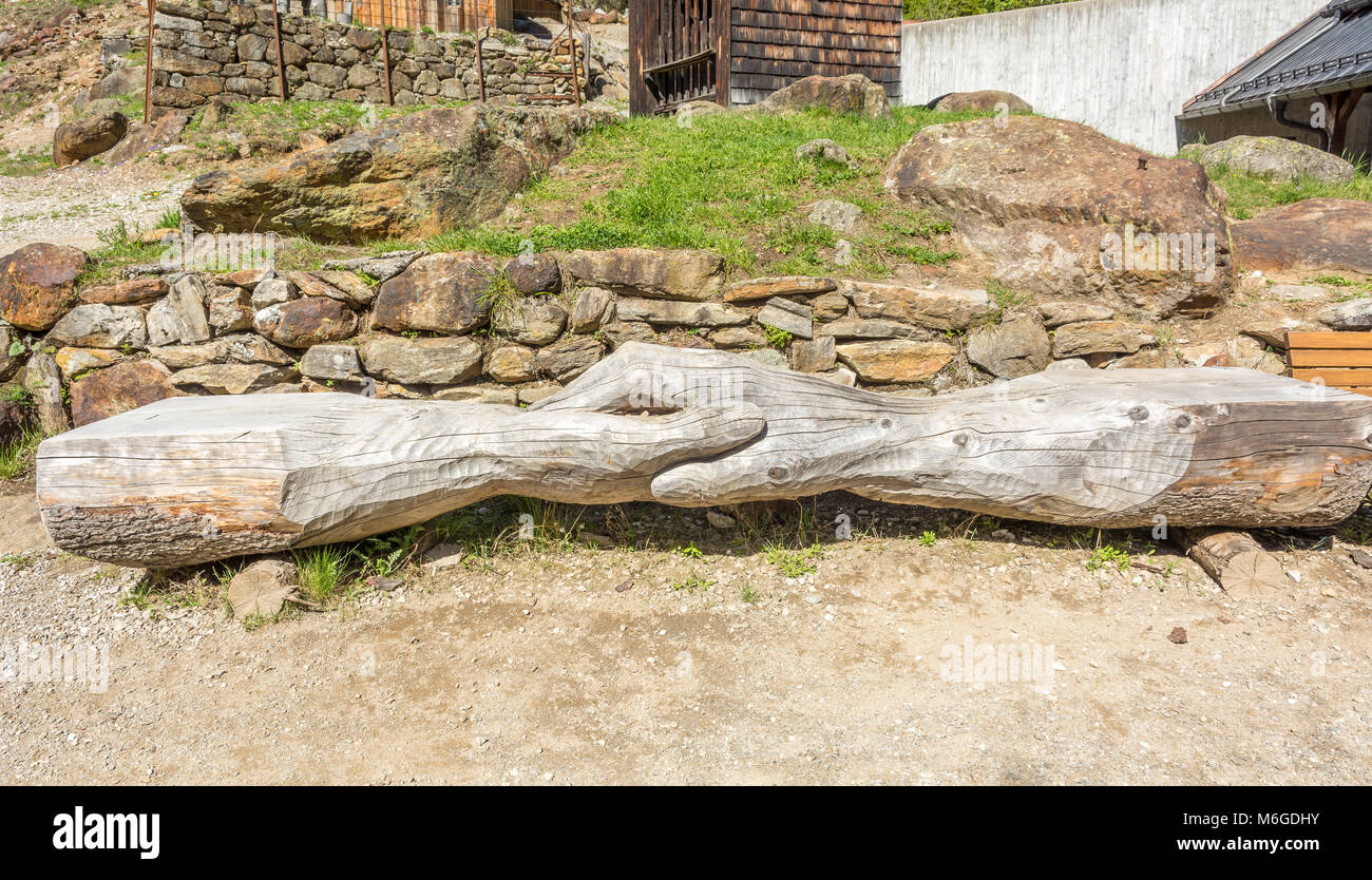 wooden bench in the tree trunk Stock Photo - Alamy
