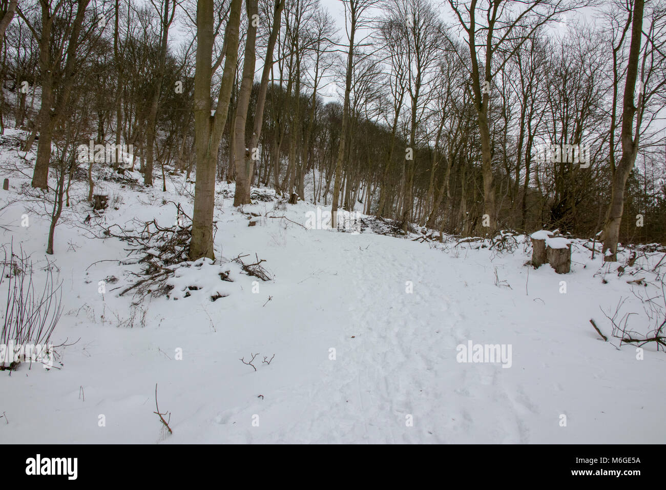 Wood tracks hi-res stock photography and images - Alamy