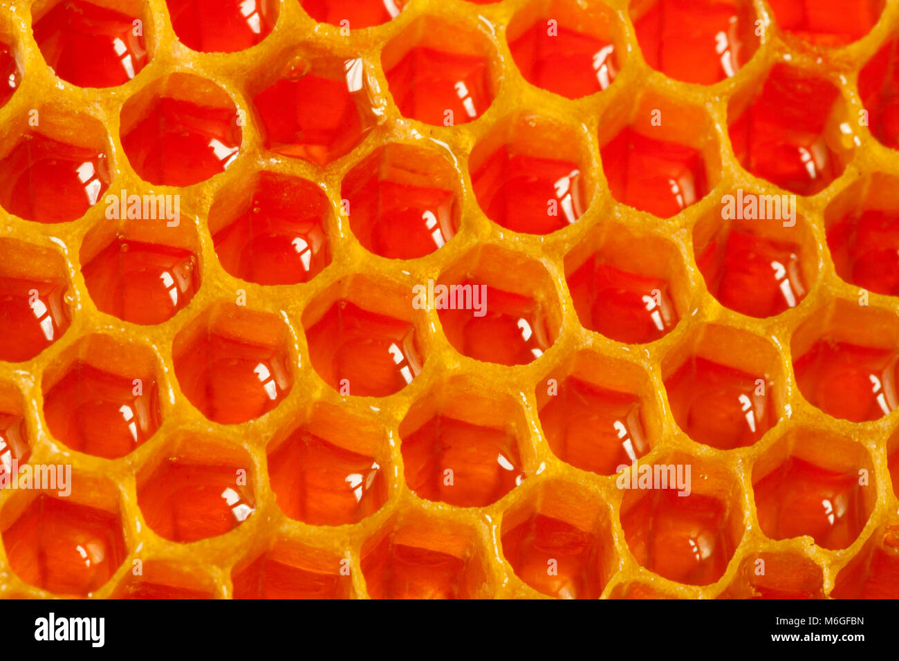 Well-being and healthy eating concept - studio close up shot of fresh ...