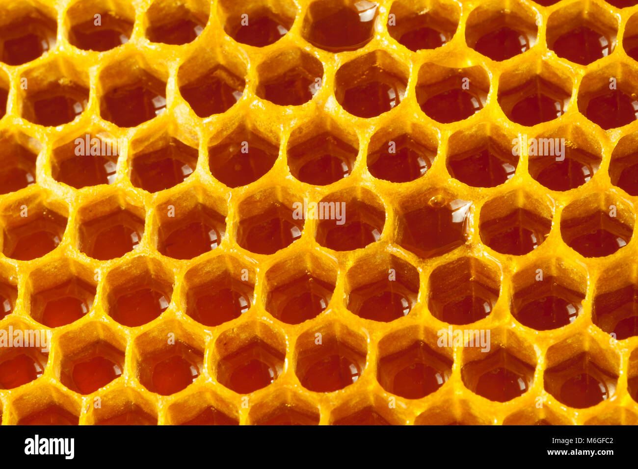 Well-being and healthy eating concept - close up shot of fresh organic ...