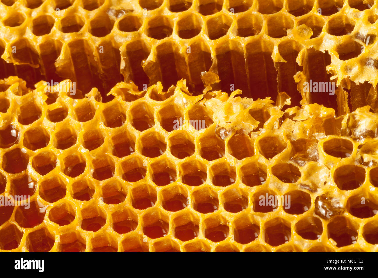 Well-being and healthy eating concept - studio shot of organic honey in ...