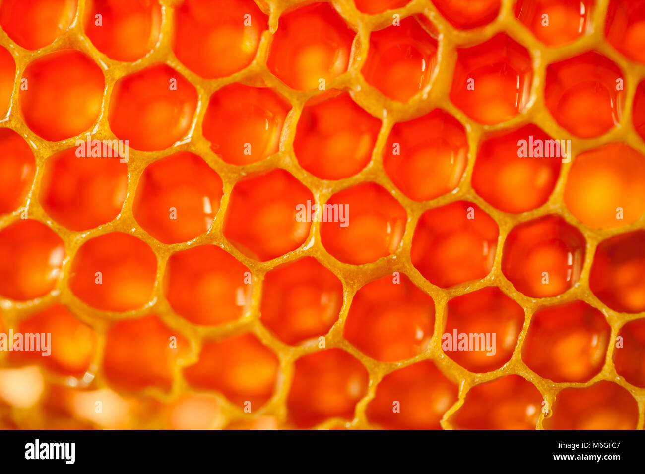 Well-being and healthy eating concept - fresh organic honey in a comb ...