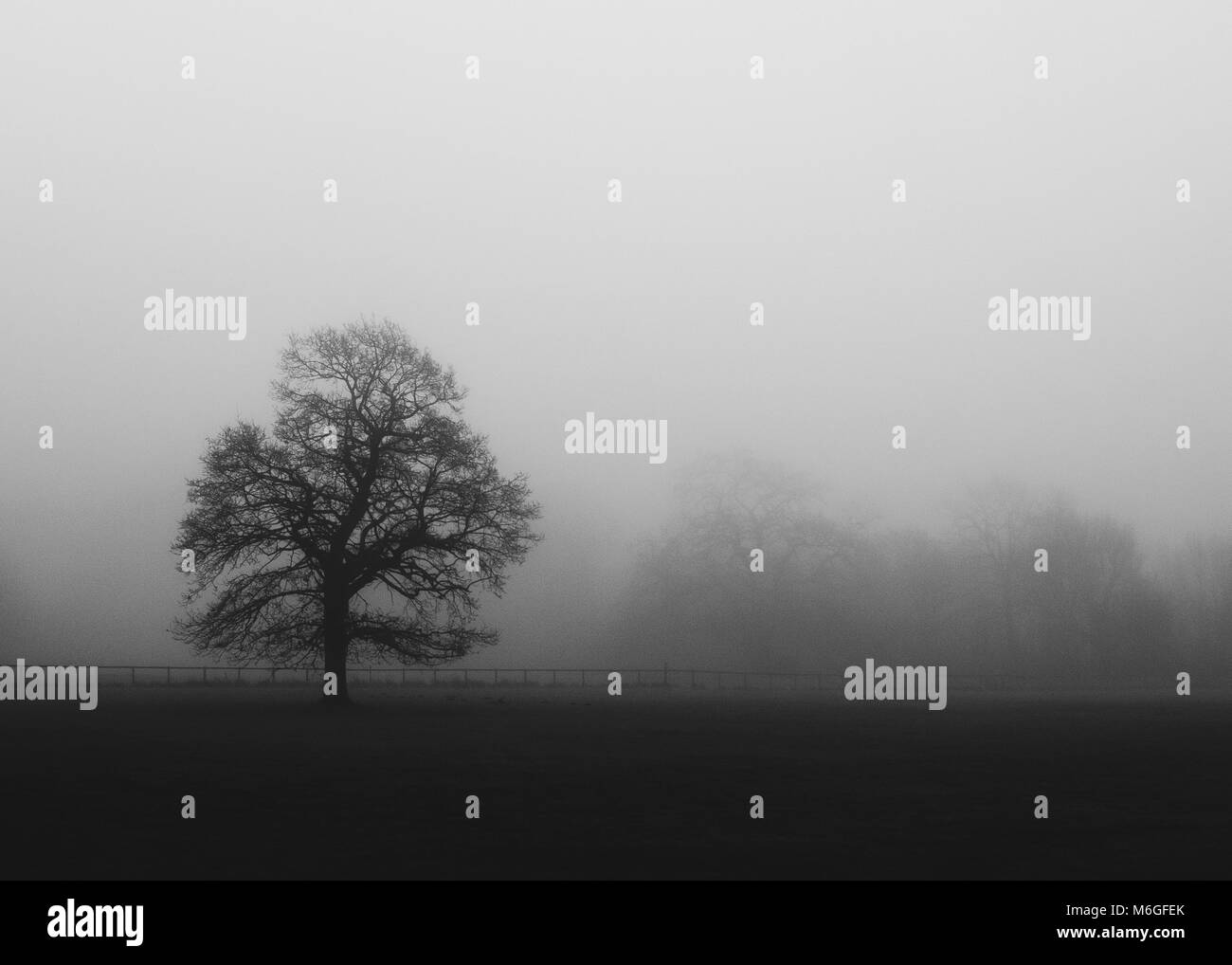 Dark field hi-res stock photography and images - Alamy