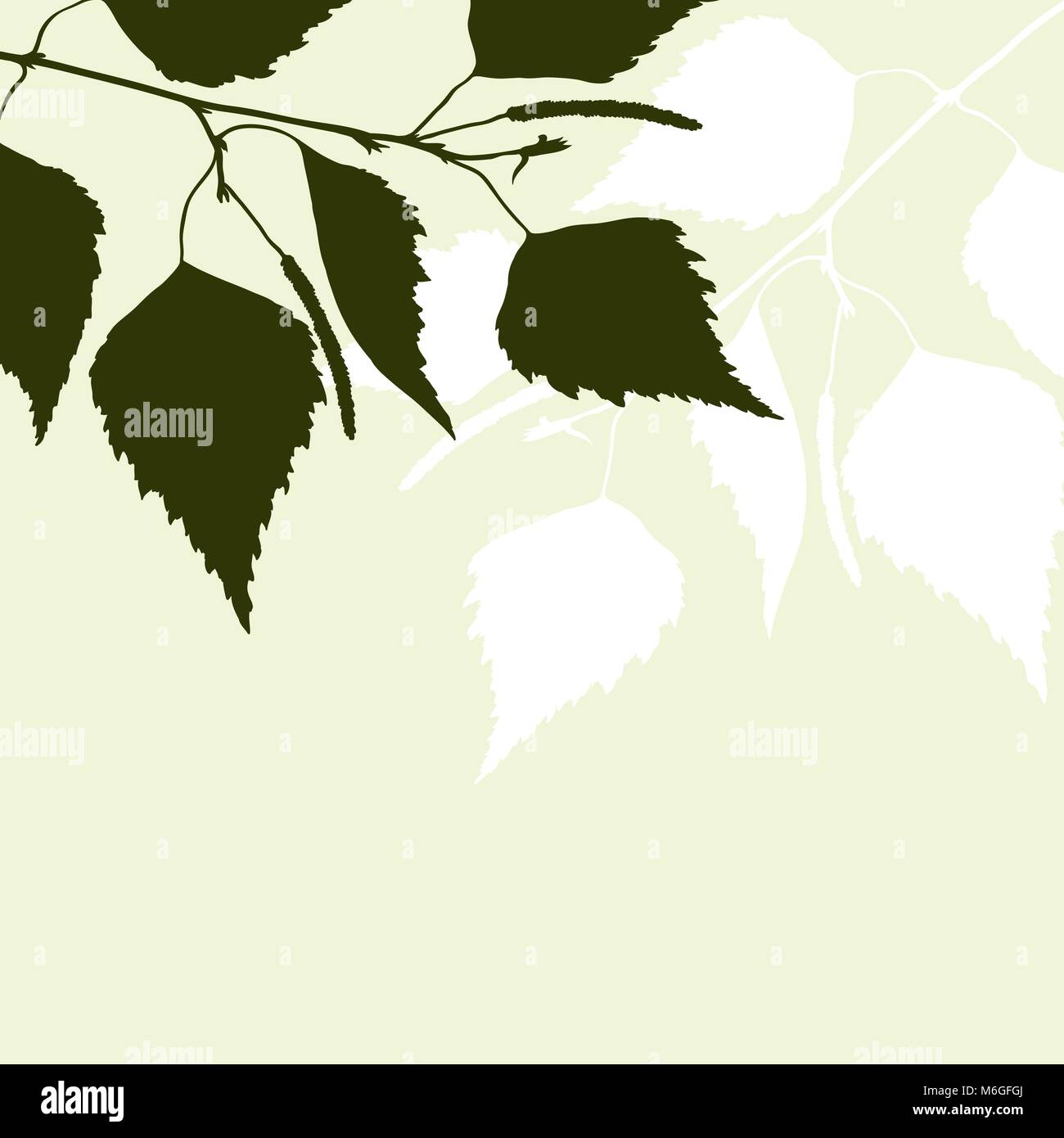 Fresh background of green birch leaves Stock Vector Image & Art - Alamy