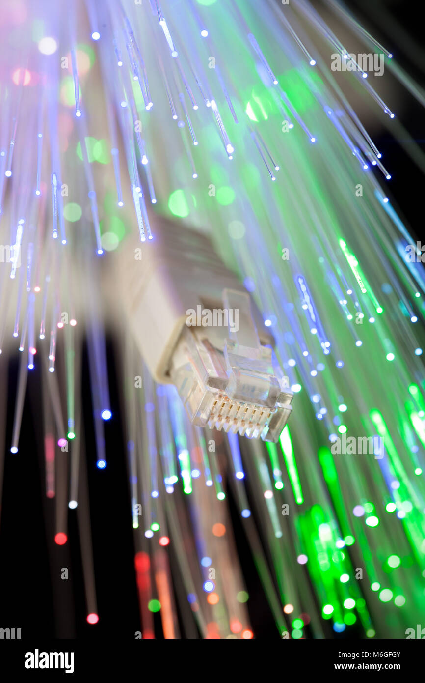 LAN and optical fiber cable - studio shot Stock Photo - Alamy