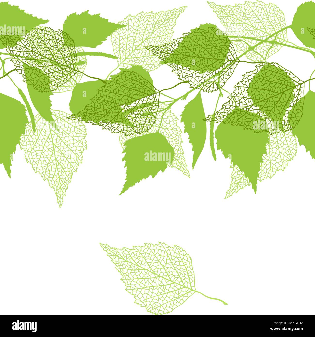 Seamless pattern with green birch leaves Stock Vector Image & Art - Alamy