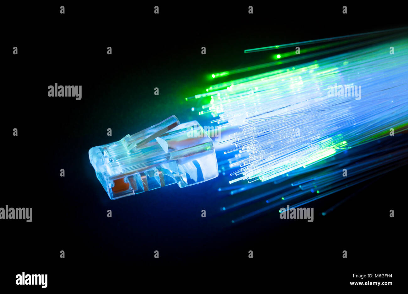 LAN and optical fiber cable - studio shot Stock Photo - Alamy