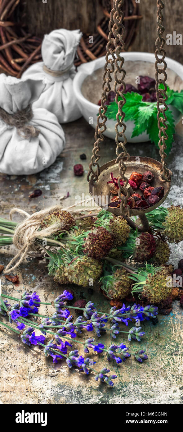 range is collected and dried medicinal herbs and plants for herbalism ...