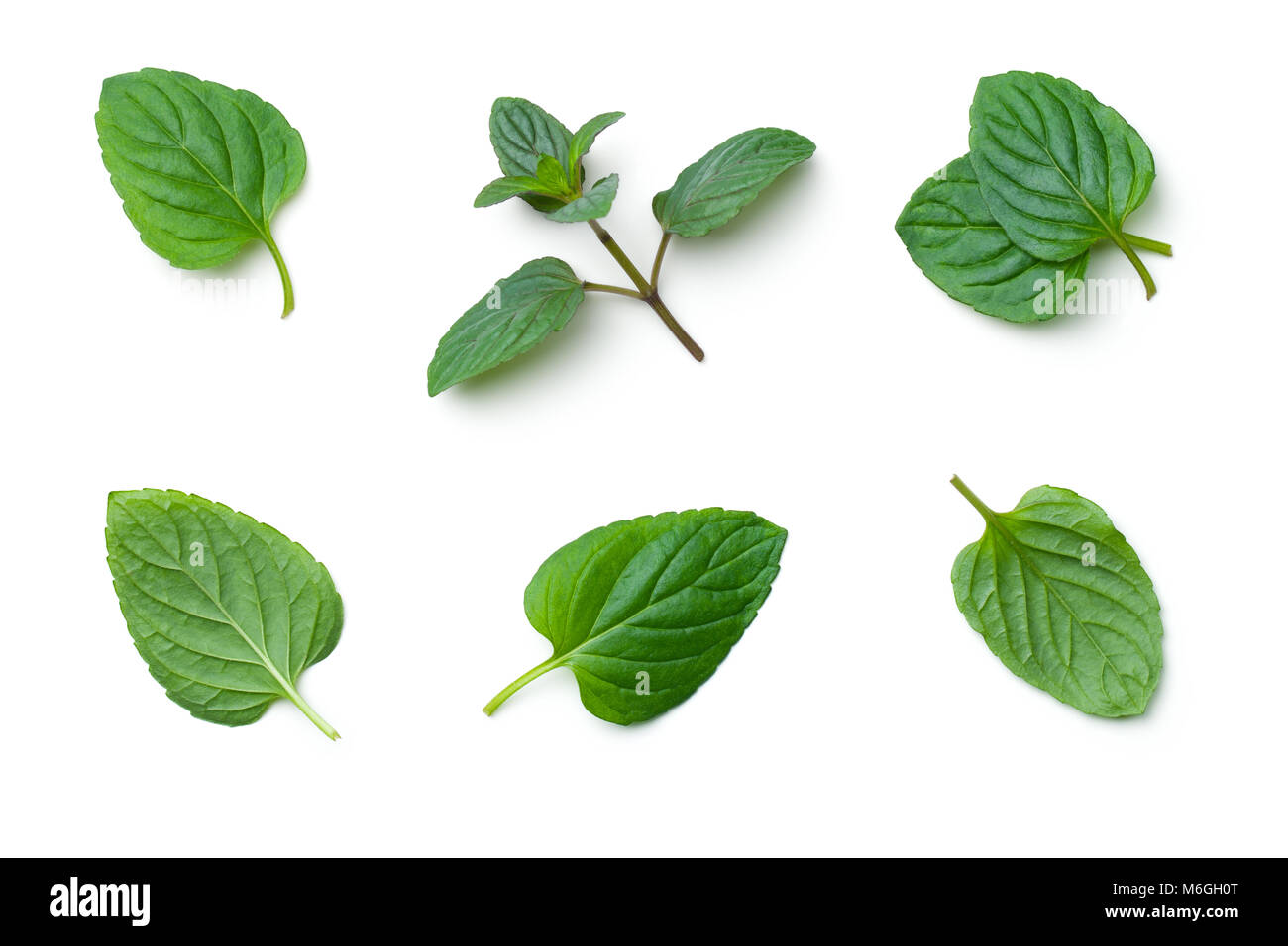 Fresh mint isolated on white background. Top view Stock Photo - Alamy