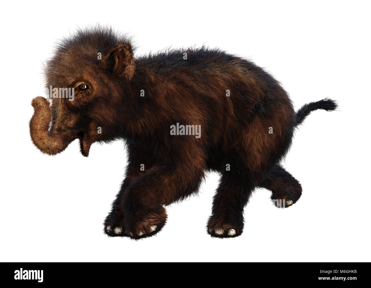 3D rendering of a baby woolly mammoth isolated on white background ...